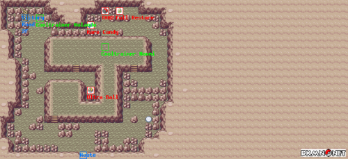 Dex :: Victory Road 1F in FireRed :: PKMN.NET